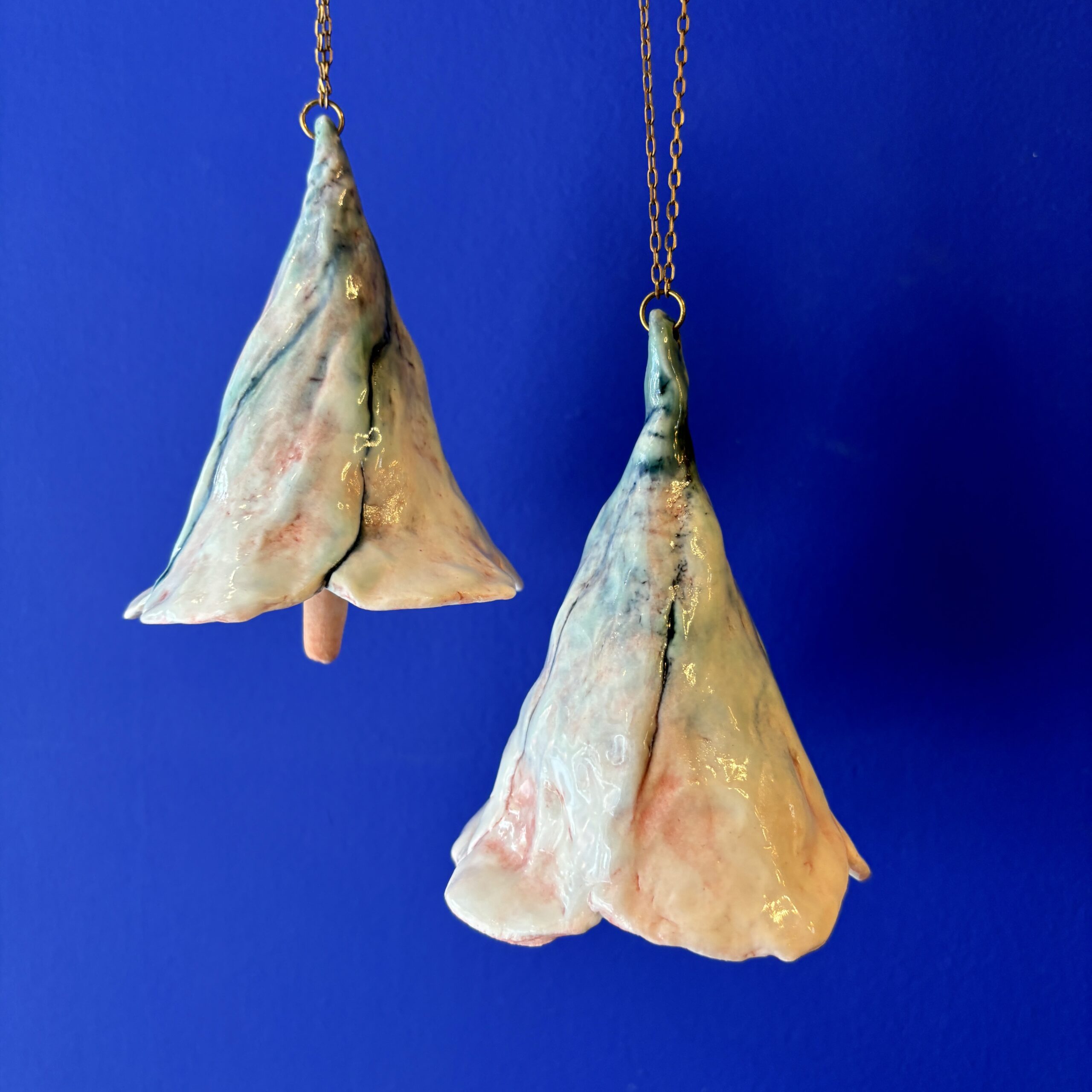 Klokkeblomster - elya.dk