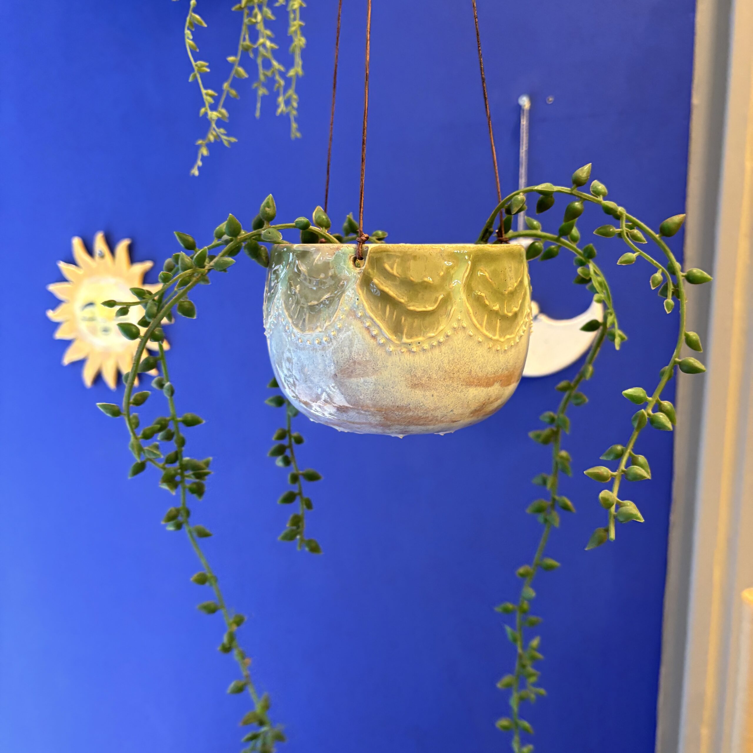 Hængepotte - elya.dk