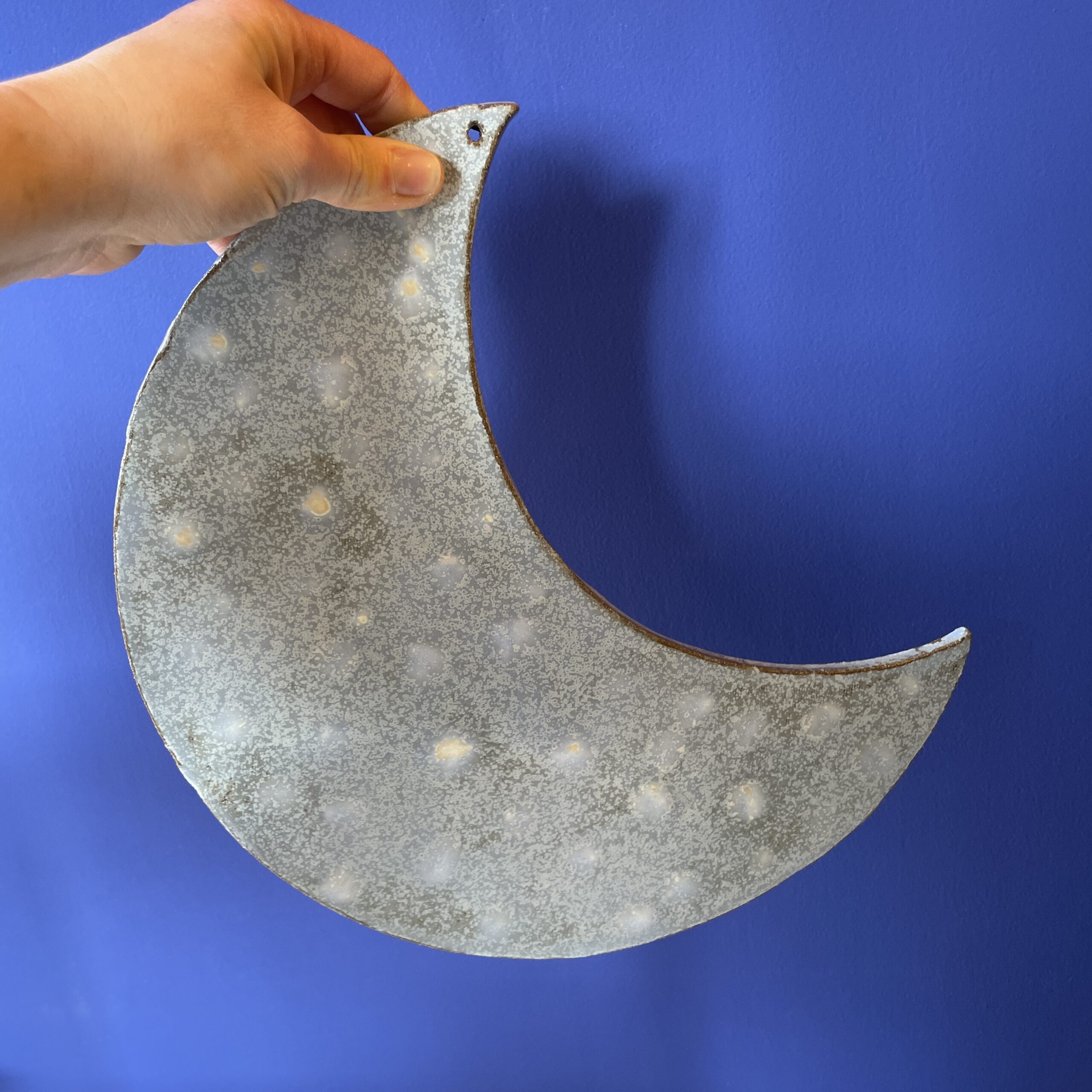 Stor måne - elya.dk