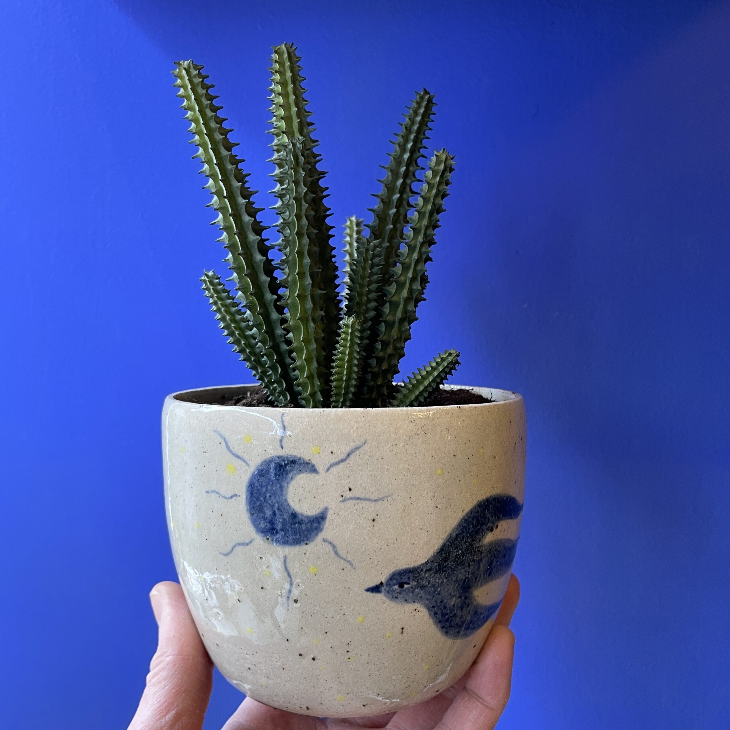 Noget er på vej - elya.dk