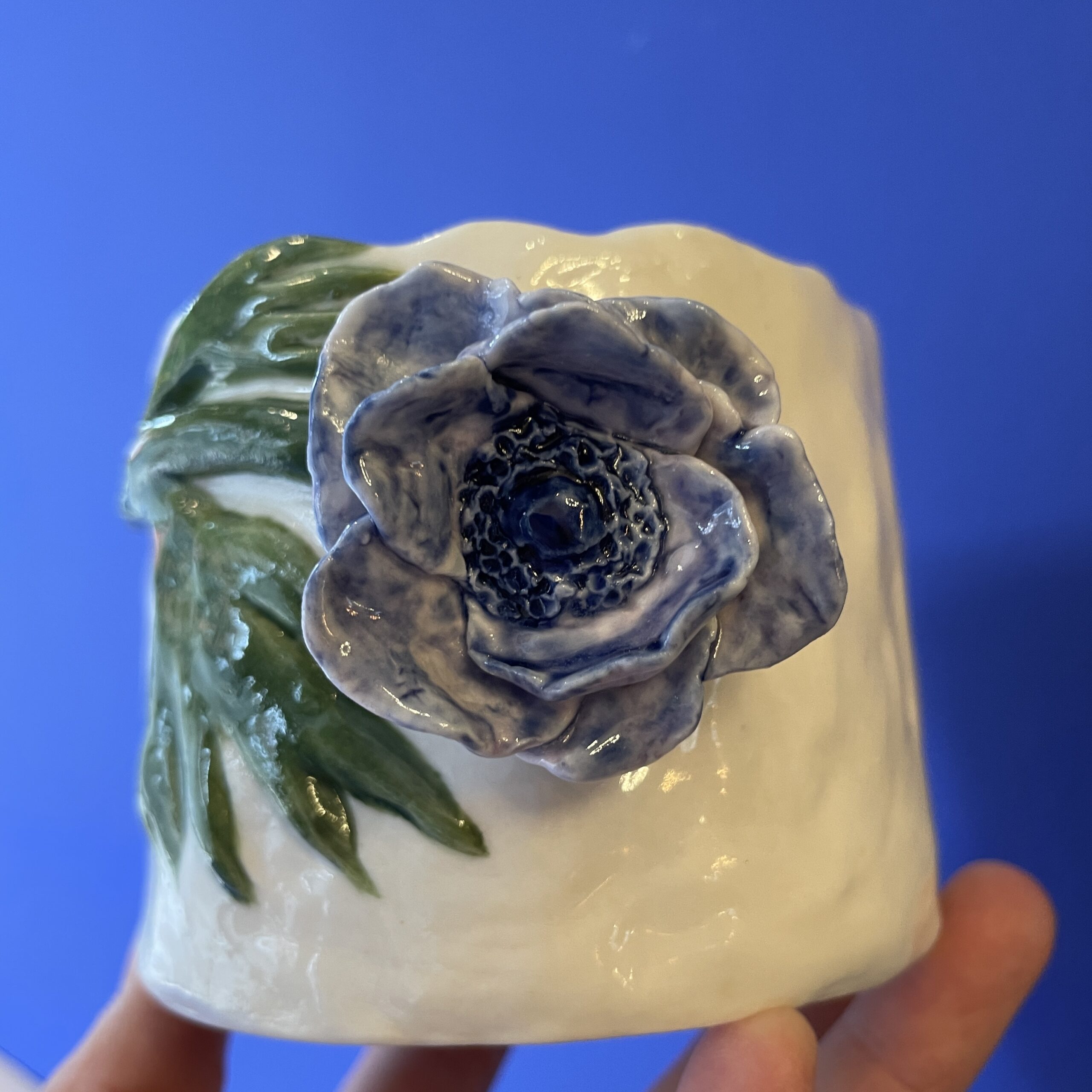 Fransk anemone - elya.dk